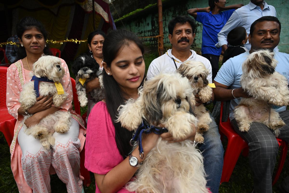 Traffic congestion on ghat road as tourists throng Yercaud for summer ...