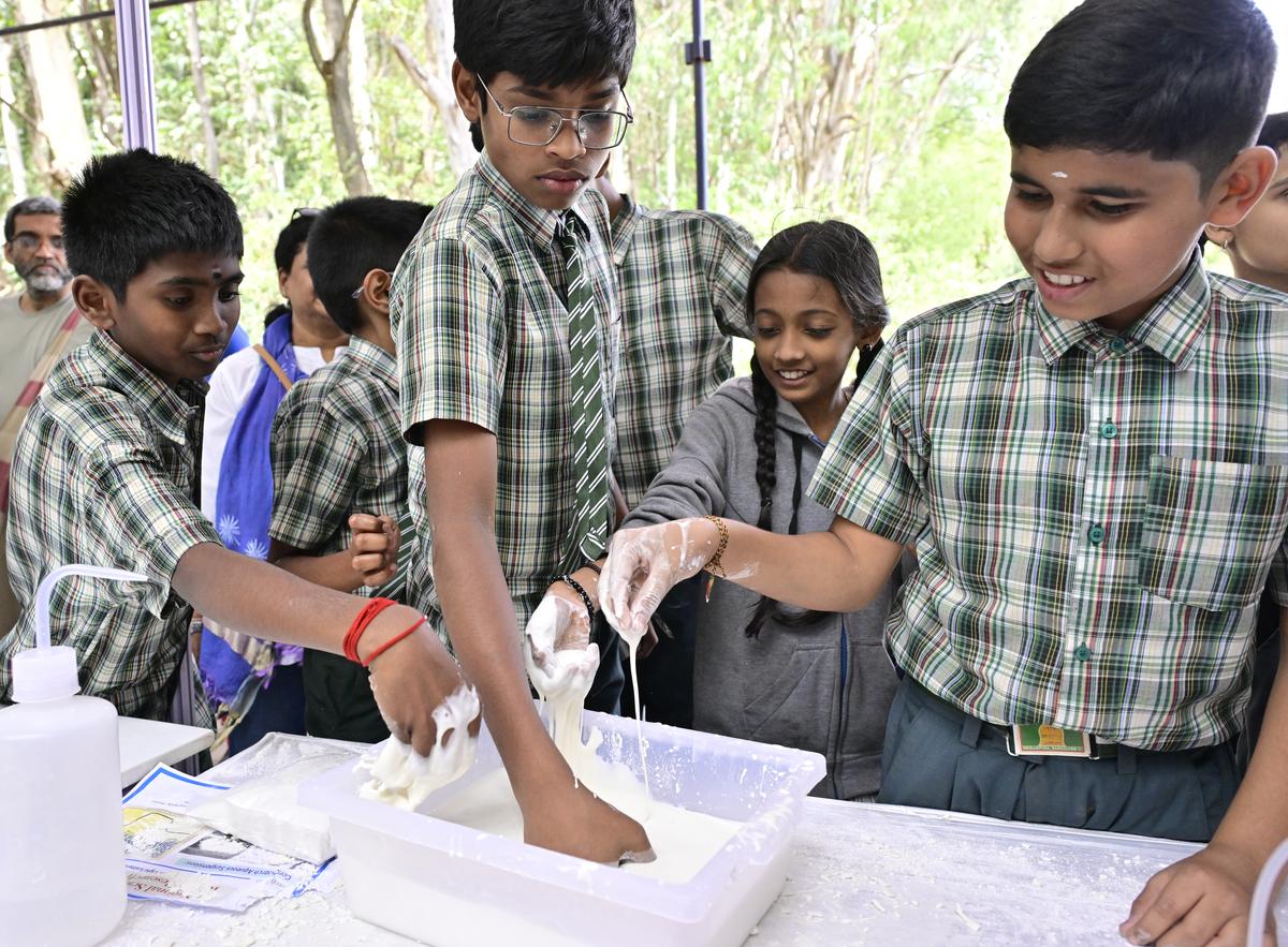 National Science Day celebrated in various institutions - The Hindu