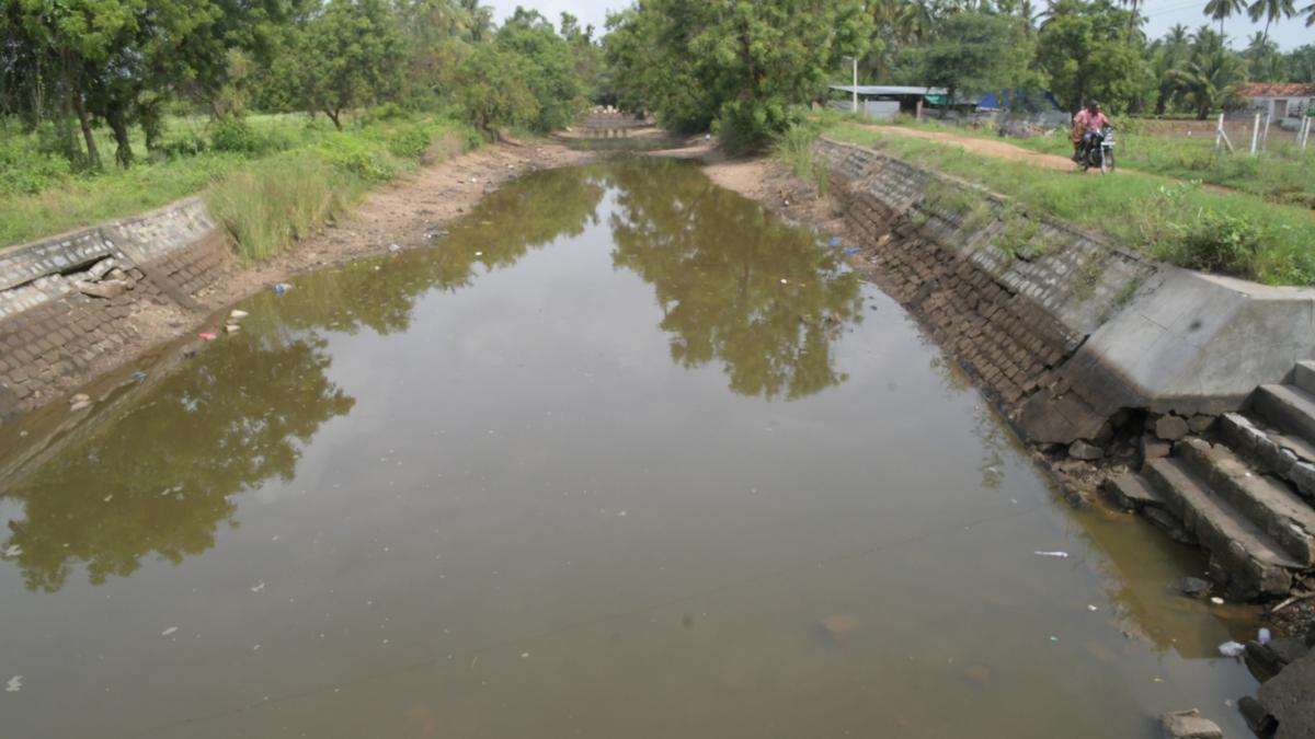 Farmers urge govt. to widen LBP main canal, strengthen bunds - The Hindu