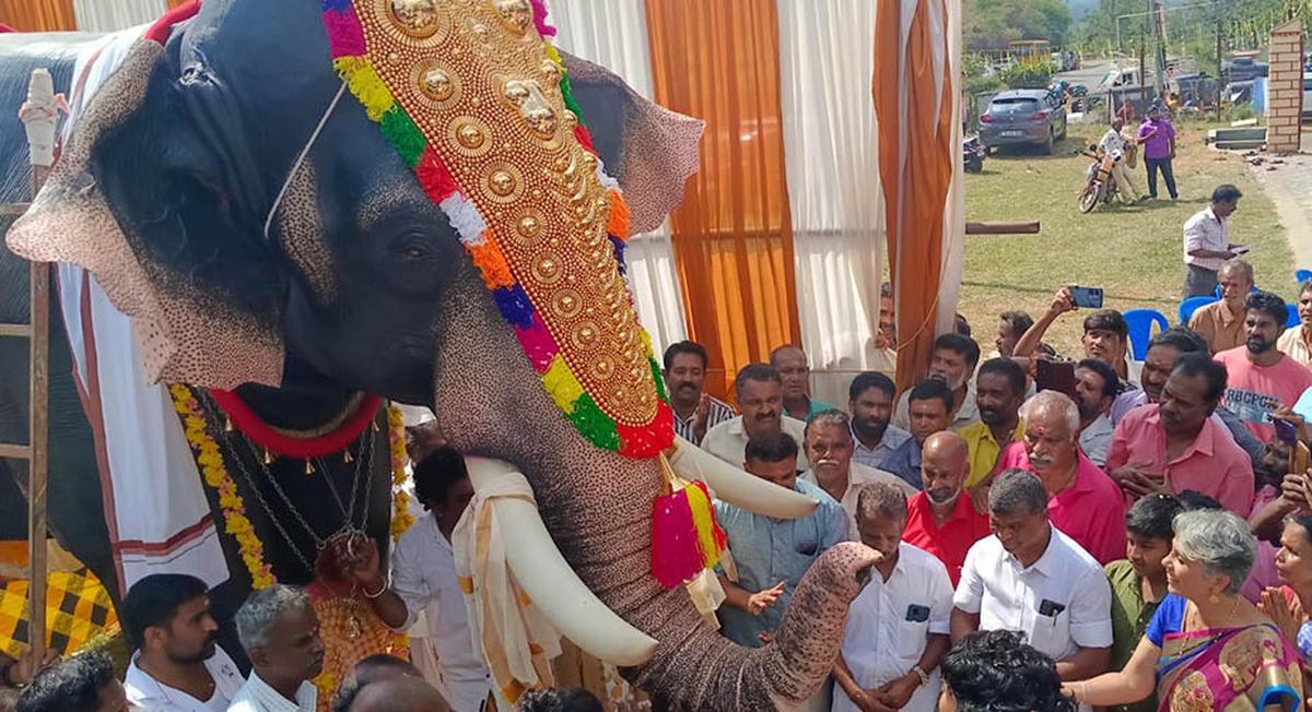 Watch | Tamil Nadu gets its first robotic temple elephant - The Hindu