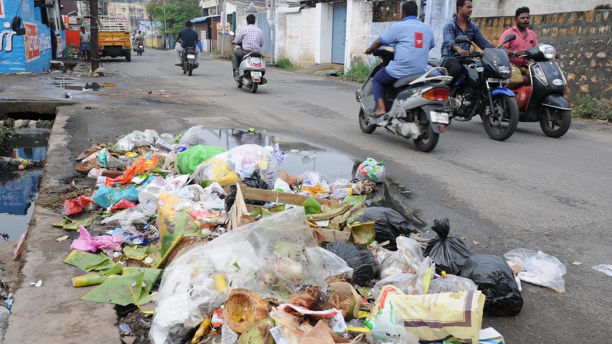 ‘Install CCTV cameras to check dumping of waste along road’ - The Hindu