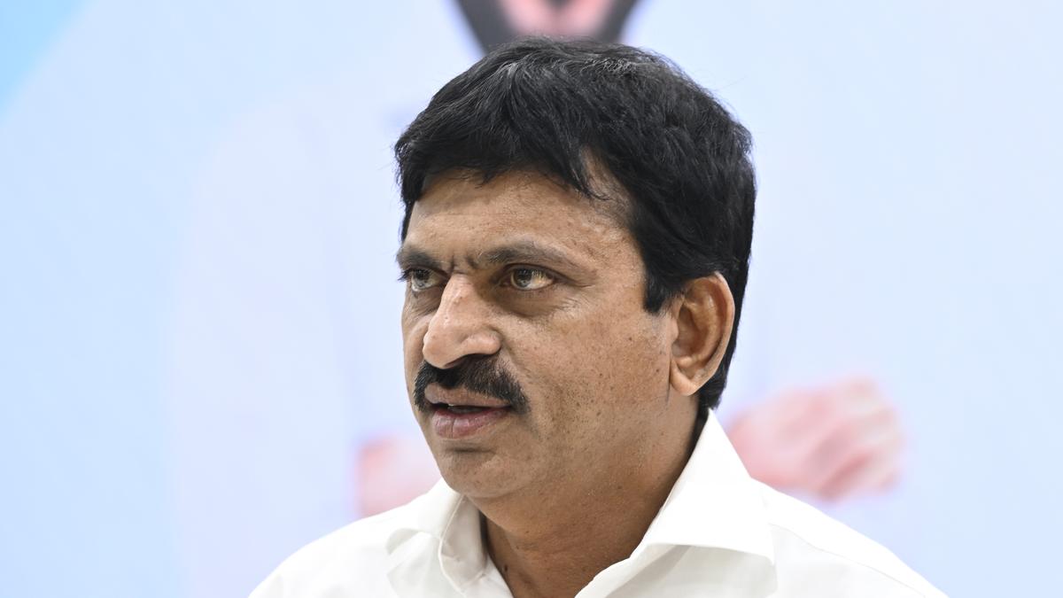 Telangana Assembly| Government to rectify lapses in district ...