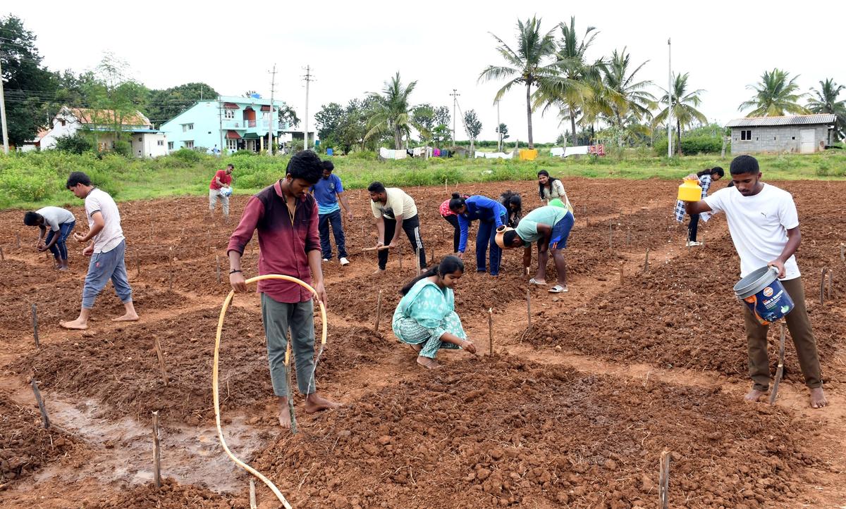 Agriculture students get a taste of village life in Arasikere taluk ...