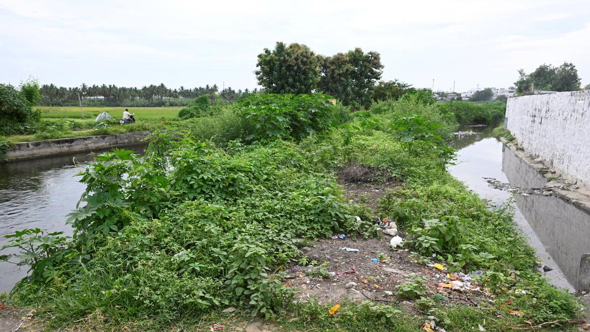 Farmers want baby canal alongside Kalingarayan Canal to be developed ...