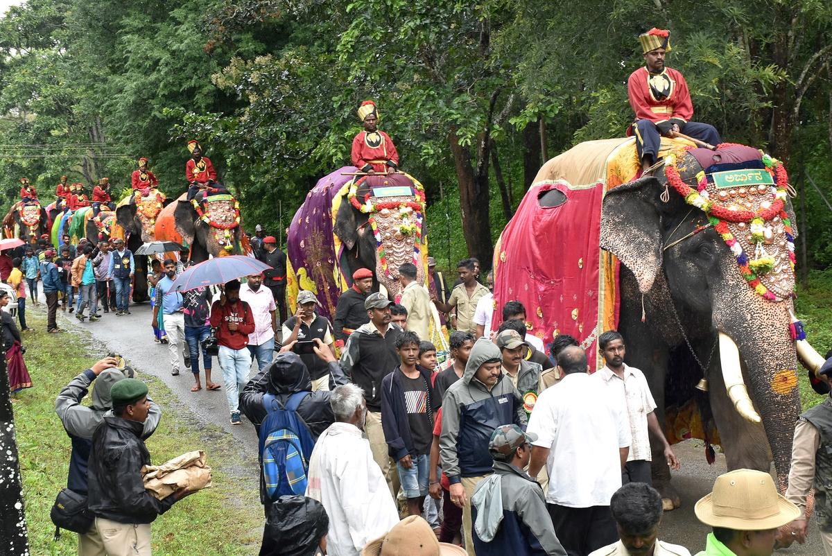 Gajapayana: Dasara elephants begin journey from jungle camps to Mysuru ...