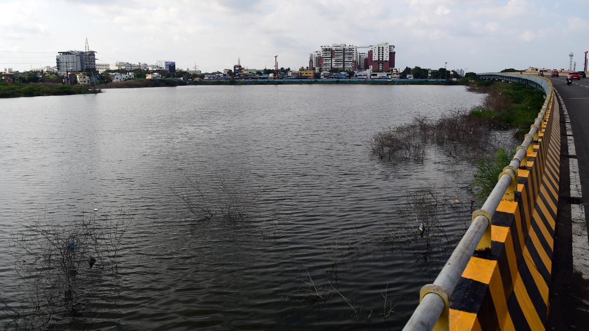 Chennai: Green light to fix Porur lake channels - The Hindu