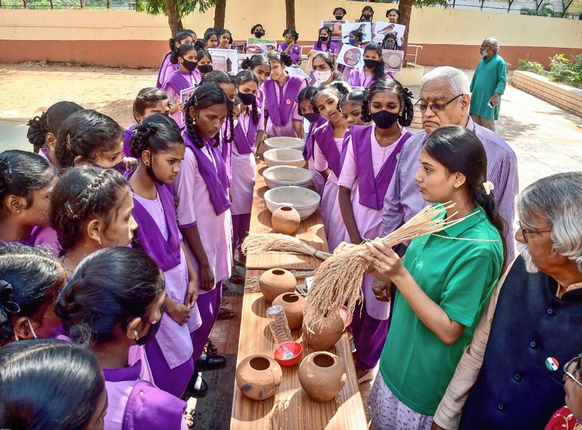 How the house sparrows have returned to the backyards in India - The Hindu