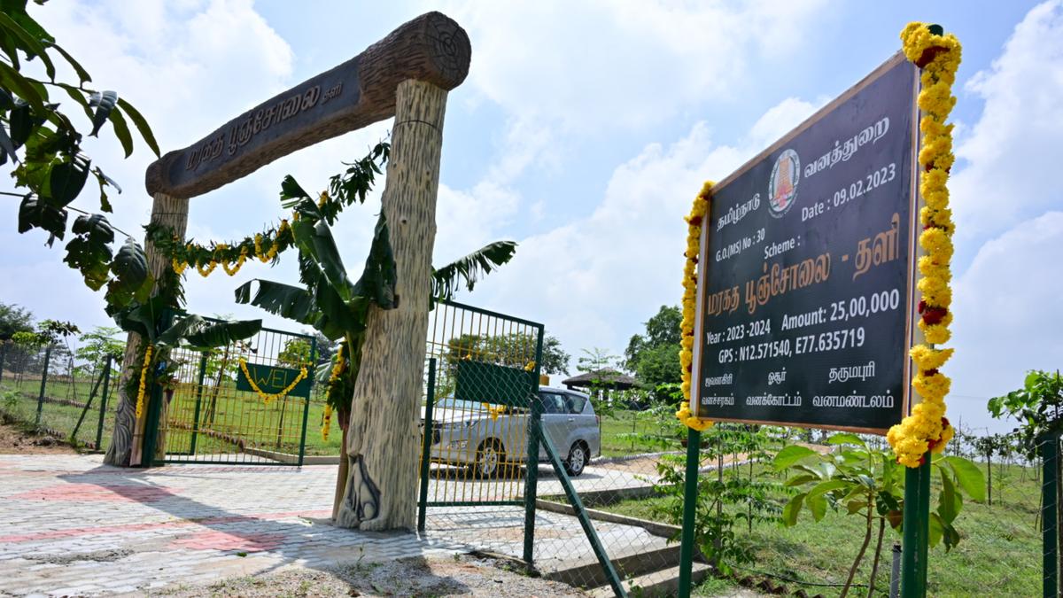 Maragadha Pooncholai inaugurated at Thally in Krishnagiri - The Hindu