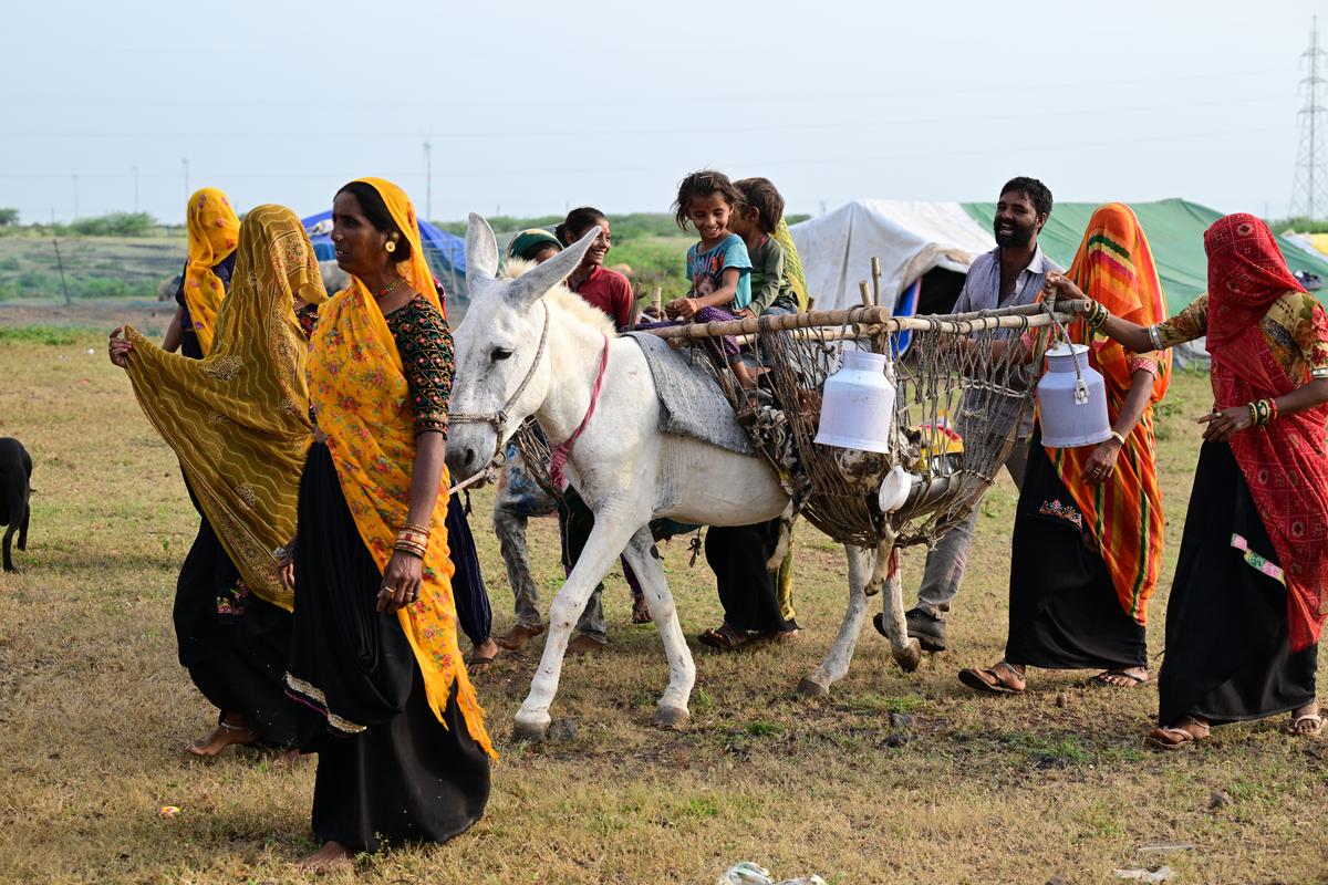 In Frames: Brains and brawn - The Hindu