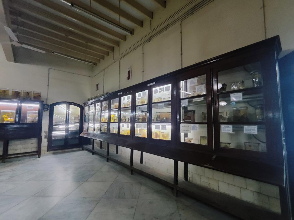 Madras Day | A peek into Chennai’s Maternity Hospital at Egmore ...