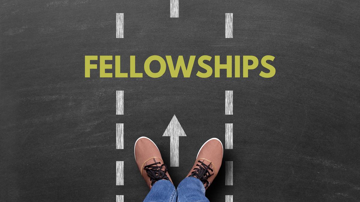 The significance of Fellowships in research and academics - The Hindu