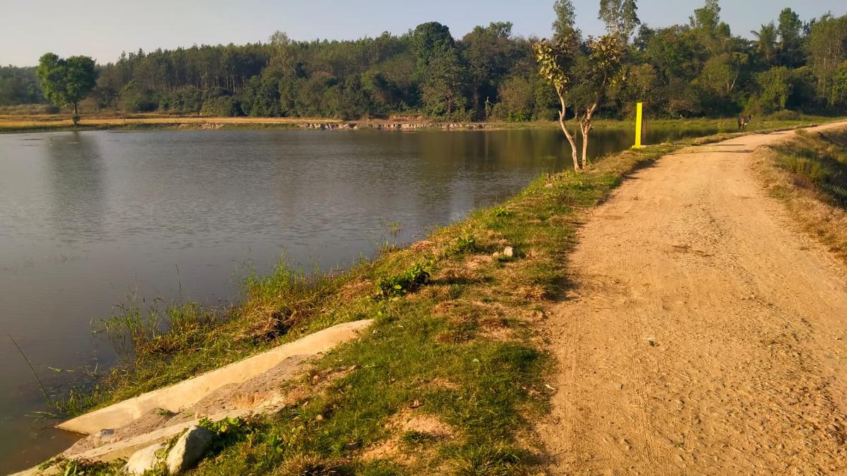 SKDRDP will rejuvenate 1,000 waterbodies by April 2025: D. Veerendra ...