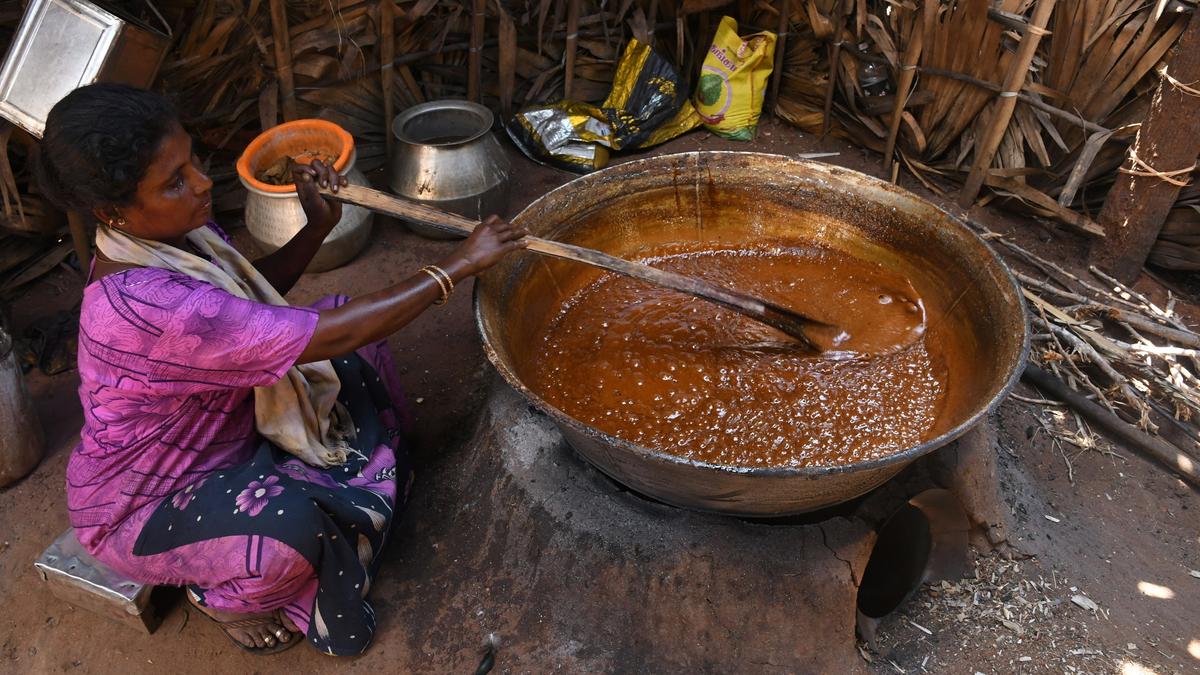 Watch | How is palm jaggery made? - The Hindu