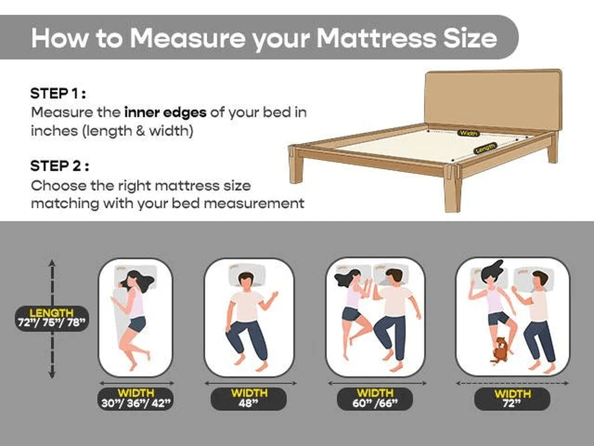 King & Queen Size Bed Dimensions Guide (2024) - The Hindu