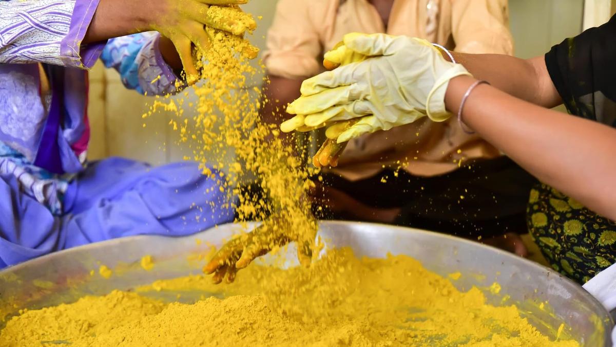 NIMHANS Green Skills initiative blossoms this election season - The Hindu