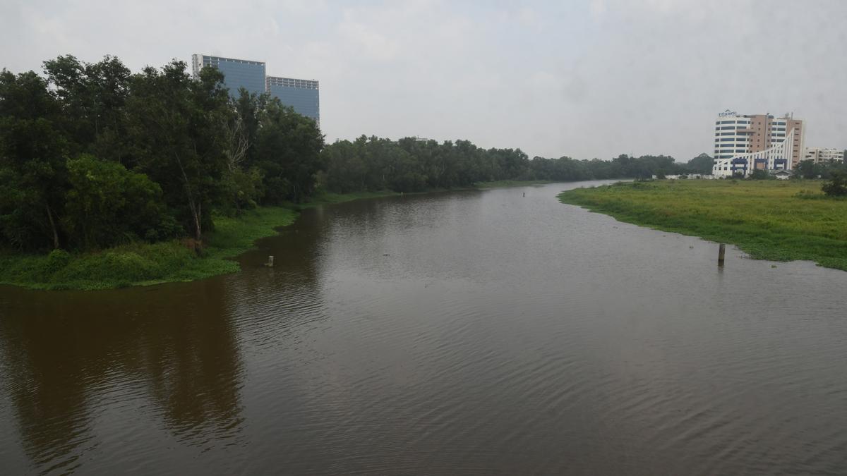 No respite from faecal contamination in Kadambrayar river in Ernakulam ...