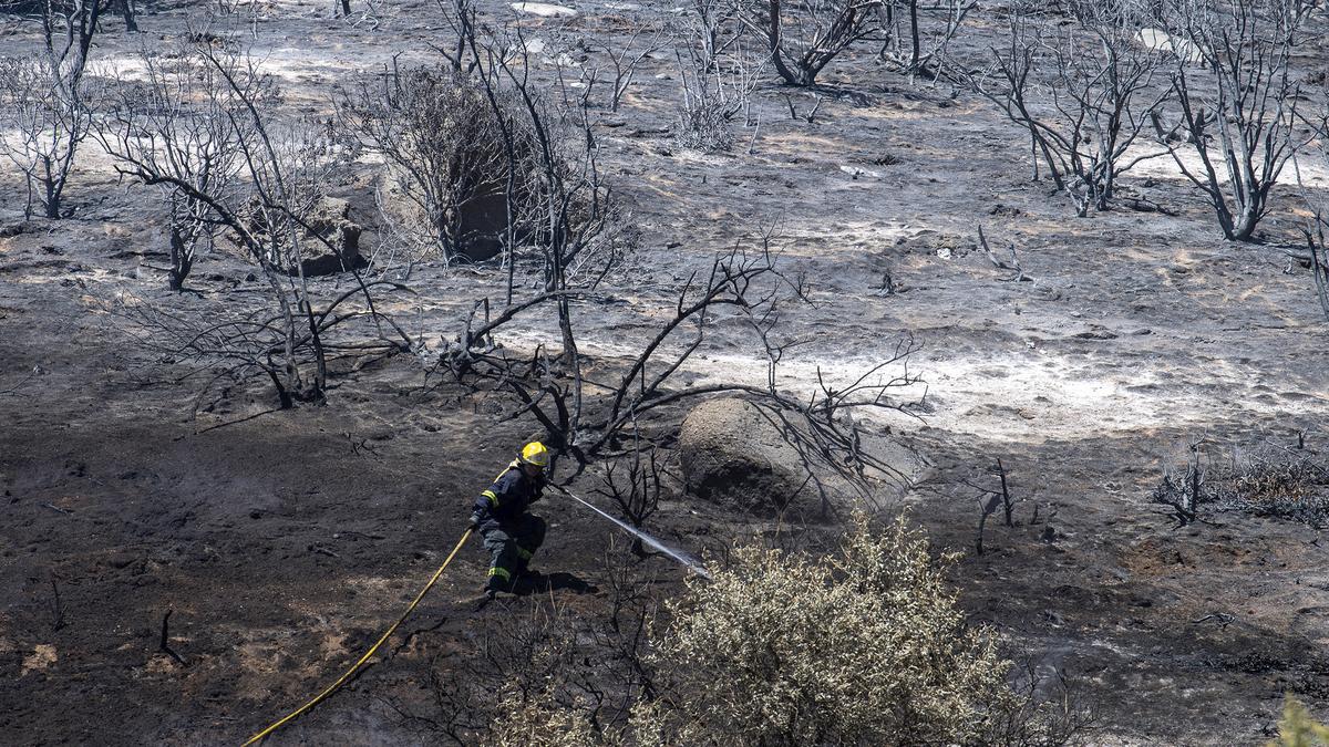 Hundreds battle wildfire raging in South Africa - The Hindu