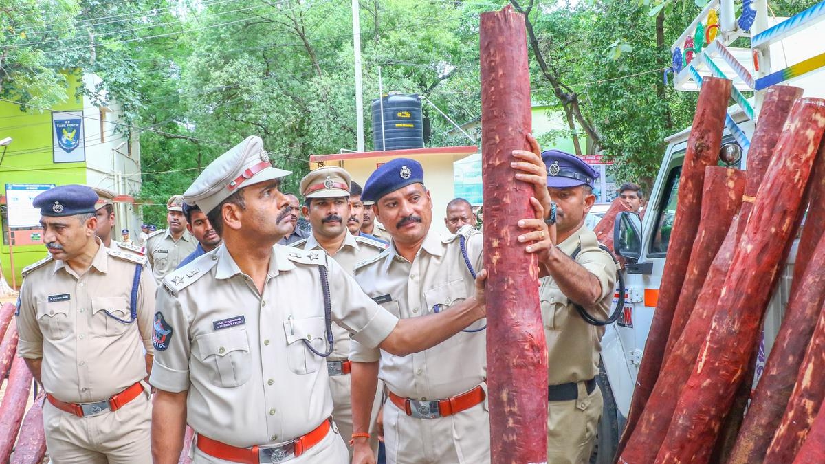 33 red sanders logs seized, eight accused from Tamil Nadu held in ...