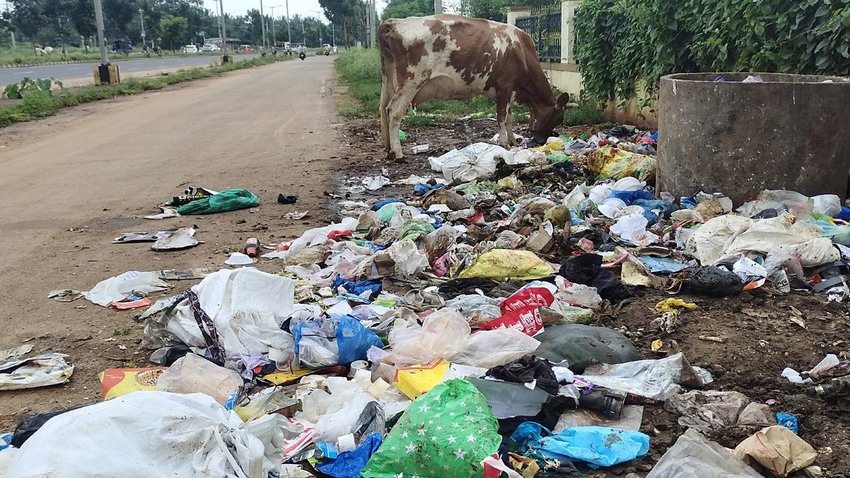 Exclusive team for garbage clearance along ORR - The Hindu