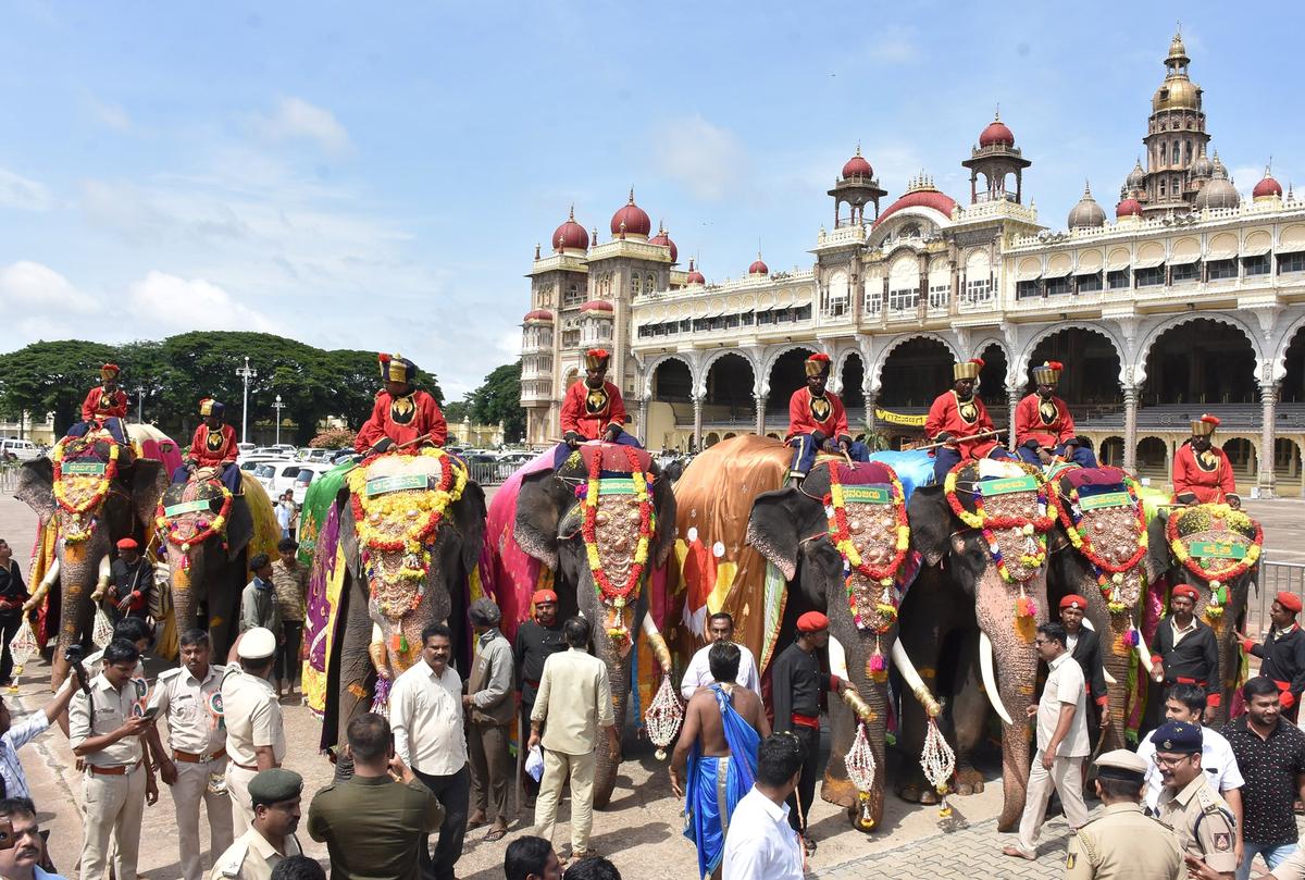 Ceremonial reception at Mysuru palace for Dasara elephants - The Hindu