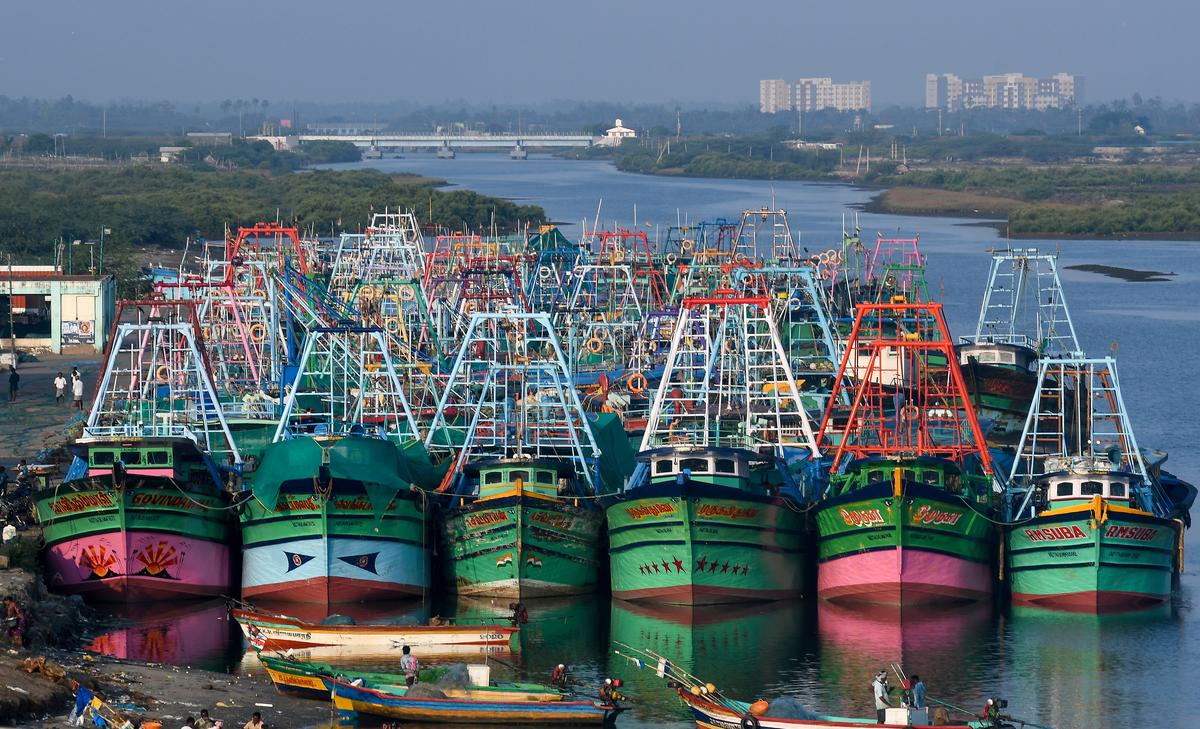 In Frames | Off the hook - The Hindu