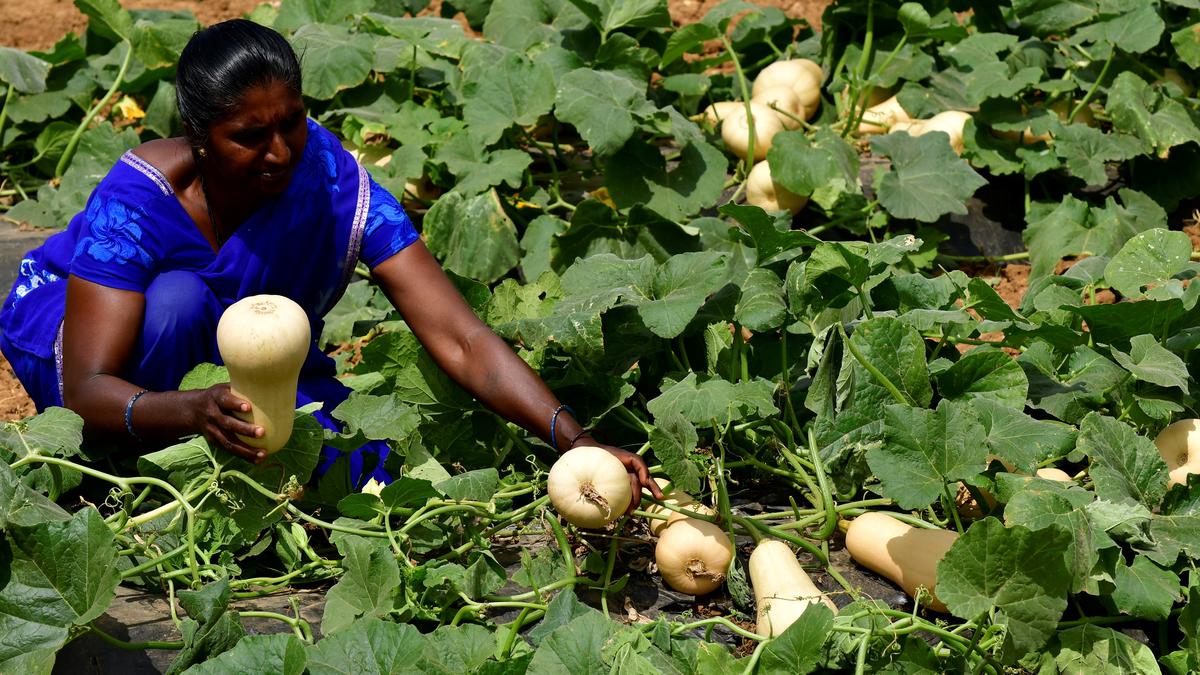 Bengaluru’s Indian Institute of Horticultural Research tops the list of ...