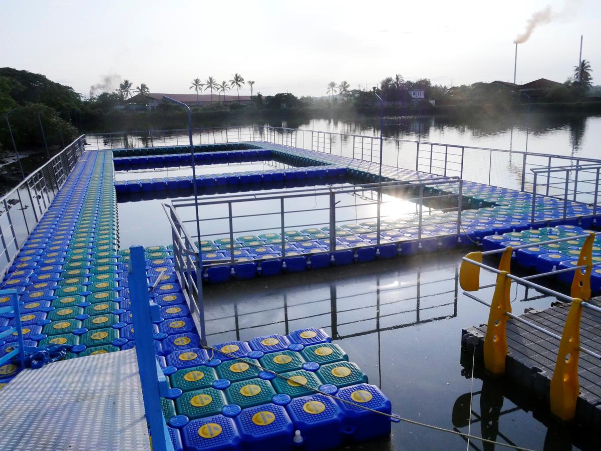 Kattampally Kayaking Training Centre gears up for roll-out - The Hindu