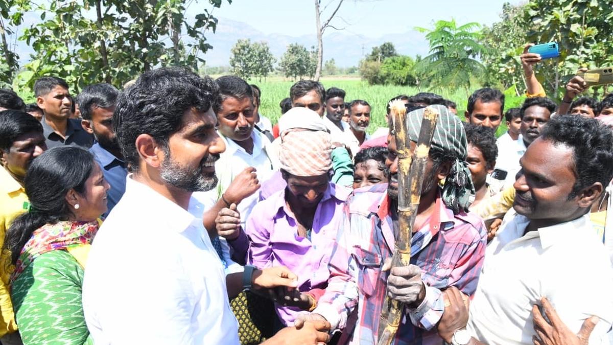 Lokesh promises support to cane growers of Nindra - The Hindu