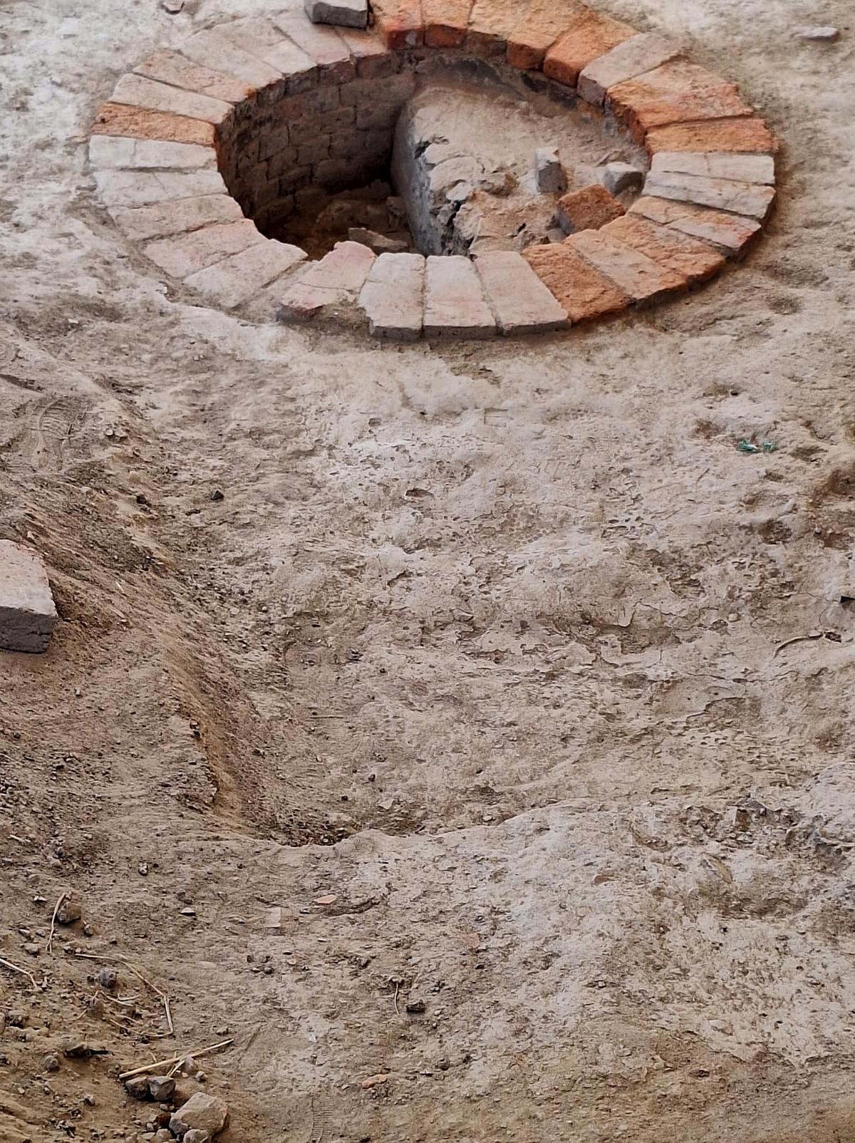 The 4,600-year-old woman from Rakhigarhi - The Hindu