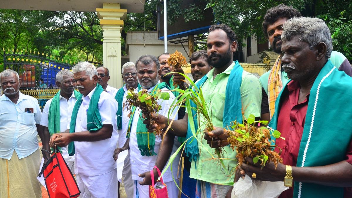 Dumping bio-medical wastes from Kerala side continues in Radhapuram ...