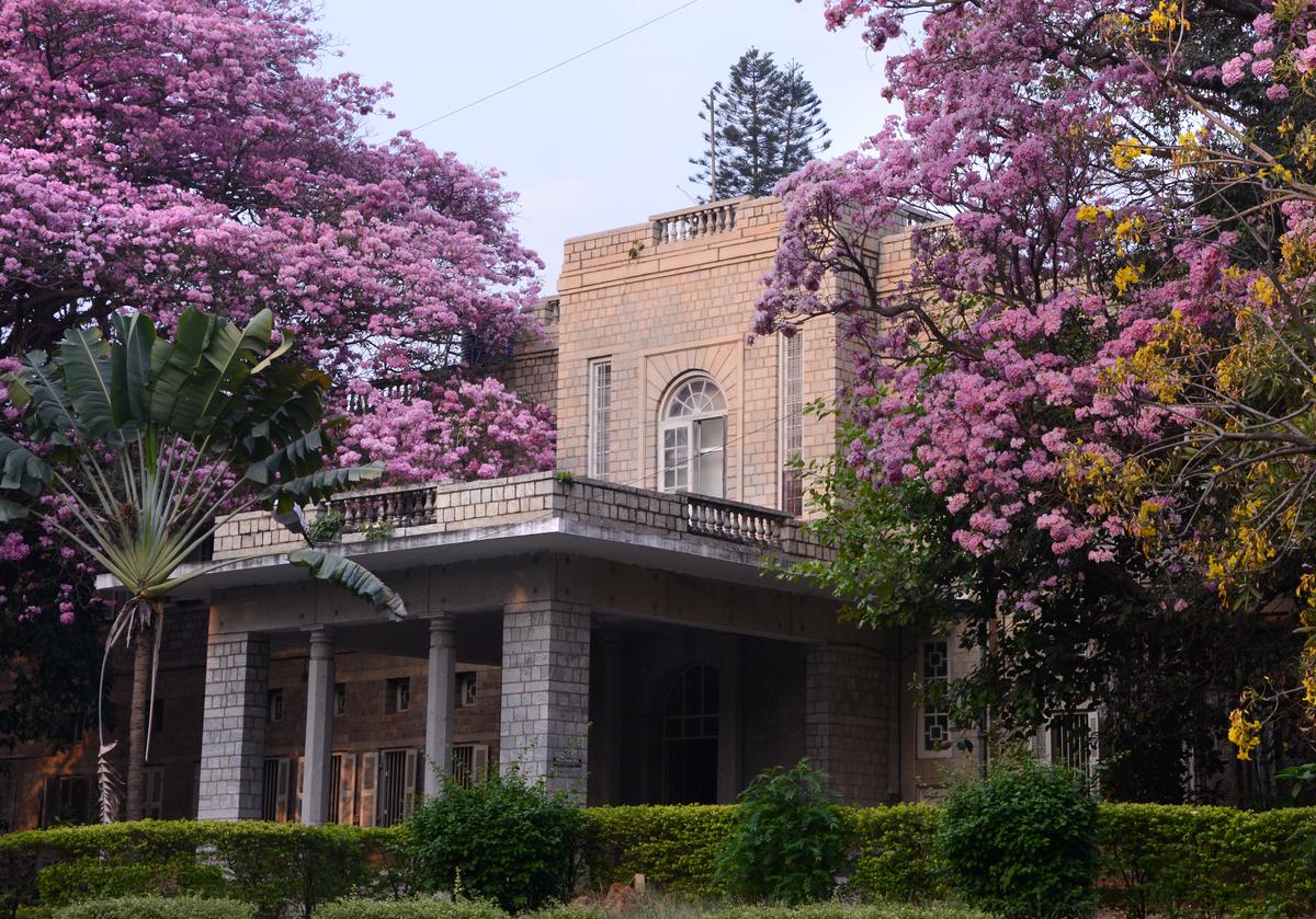 Watch | One-of-a-kind OCD clinic in Bengaluru celebrates silver jubilee ...