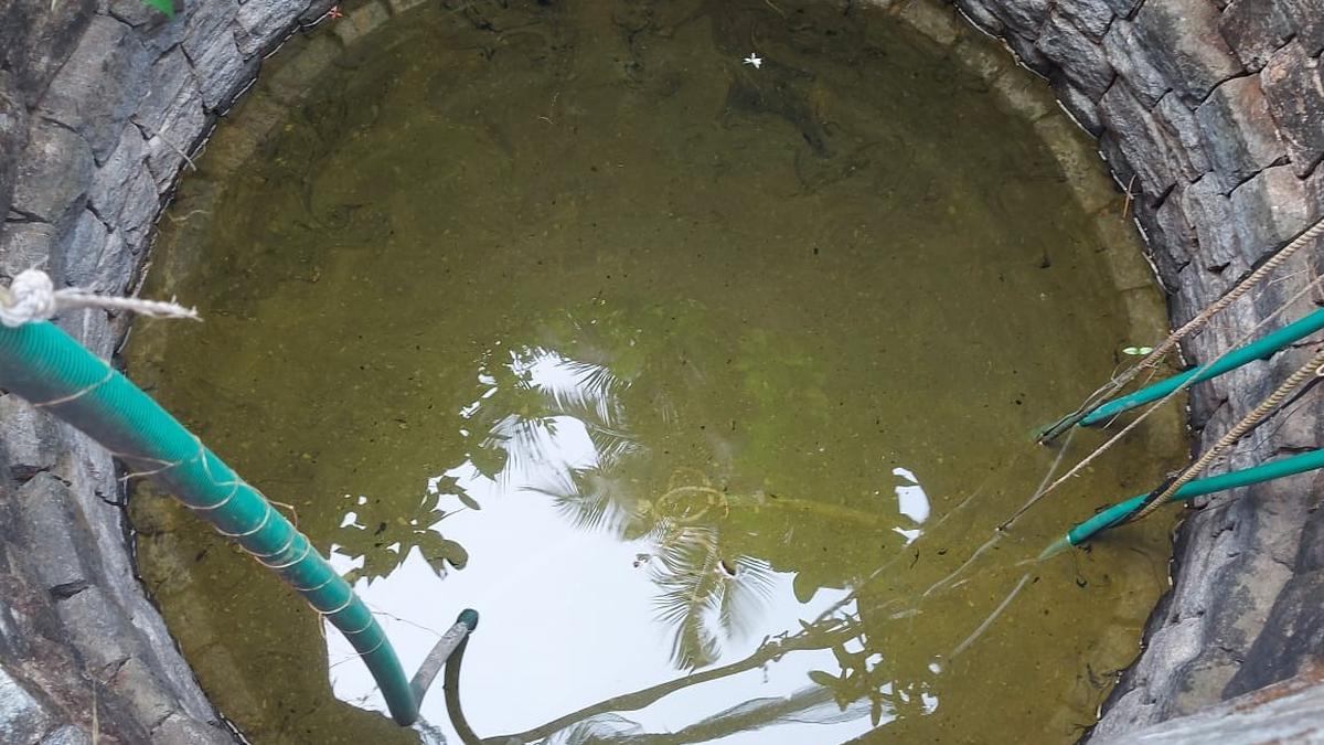 Open wells in Udupi contaminated by sewage - The Hindu