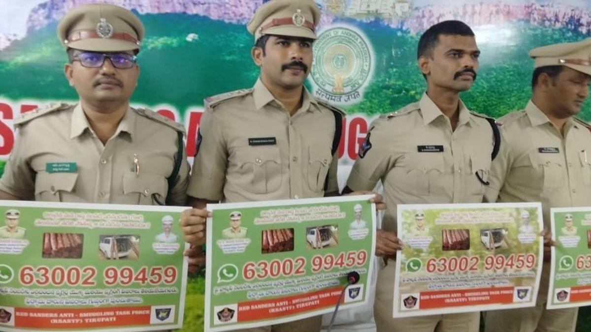 Red sanders task force to intensify combing operations in Seshachalam ...