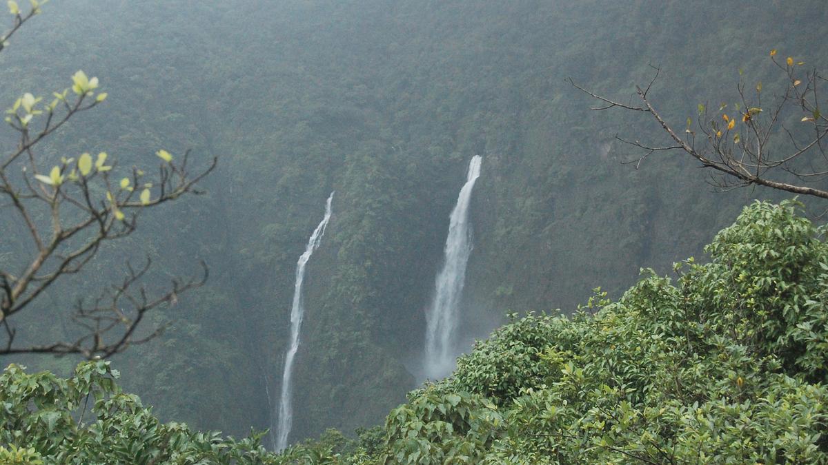 50 moved to safer place after 80 get stuck at Goa waterfall; operation ...