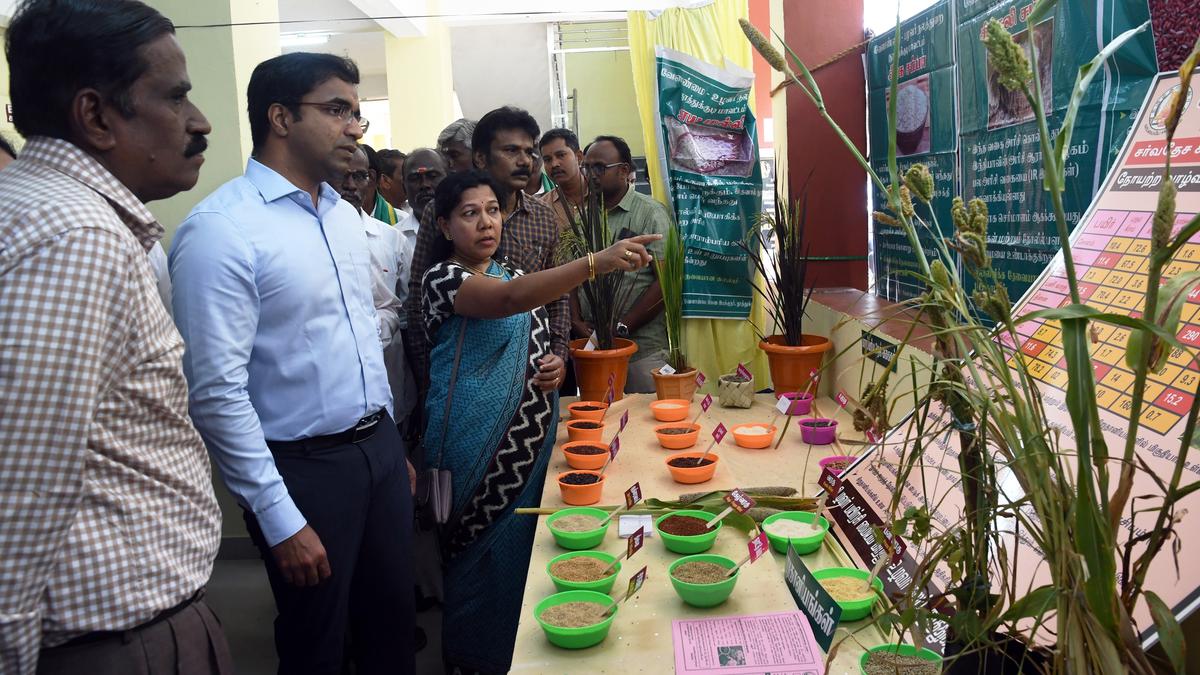 Farmers urged to raise native crops - The Hindu
