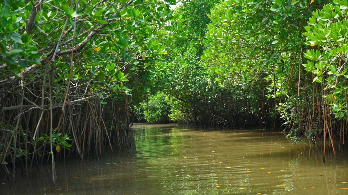 Climate Change Mission on track - The Hindu