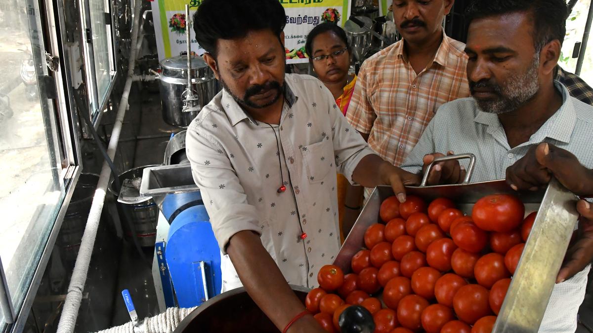 Mobile tomato processing unit demonstrated - The Hindu