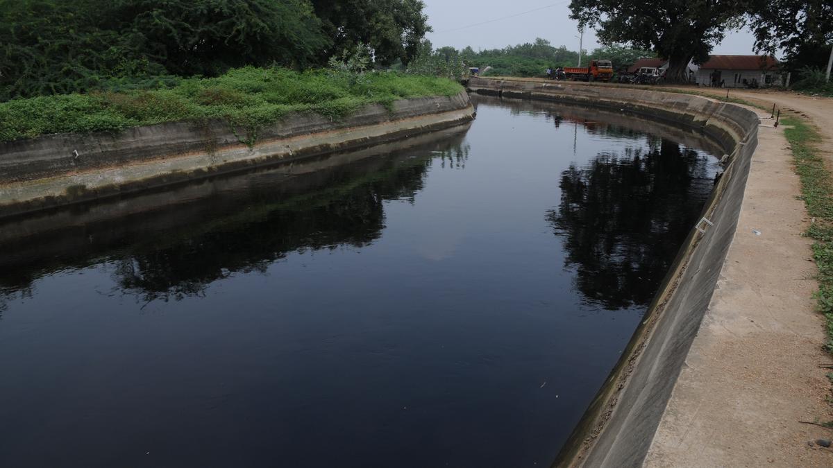 Water in Kalingarayan Canal unfit for farming, say farmers - The Hindu