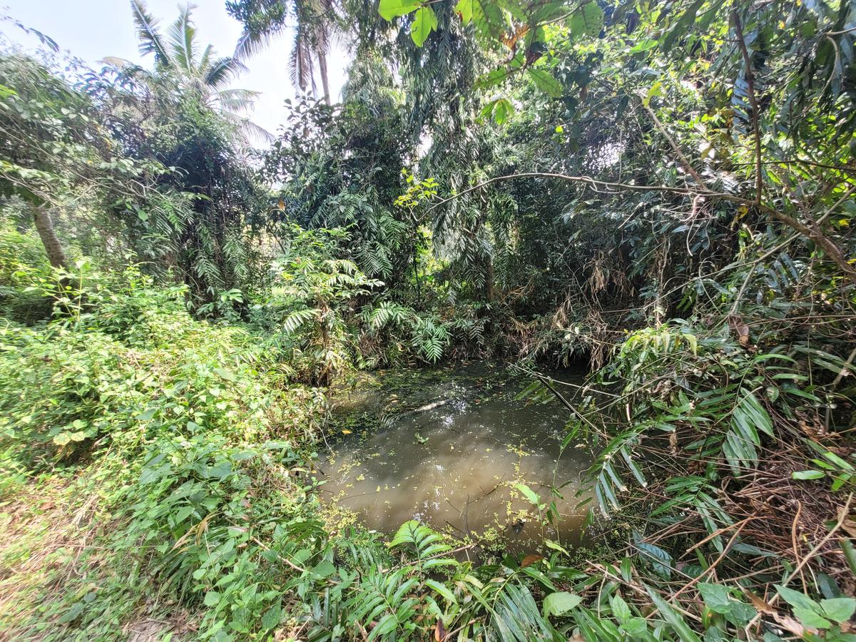 Itty Achuthan falling into oblivion in his birthplace - The Hindu