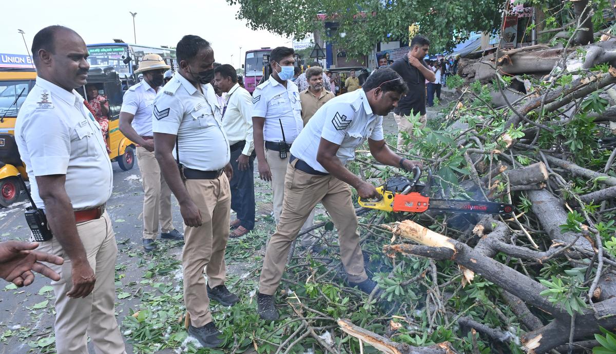 Tree near Saidapet Metro subway crashes, traffic police personnel swing ...
