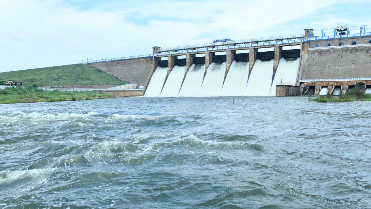 ’Water level in Vaigai dam is good enough till February 2026’ - The Hindu