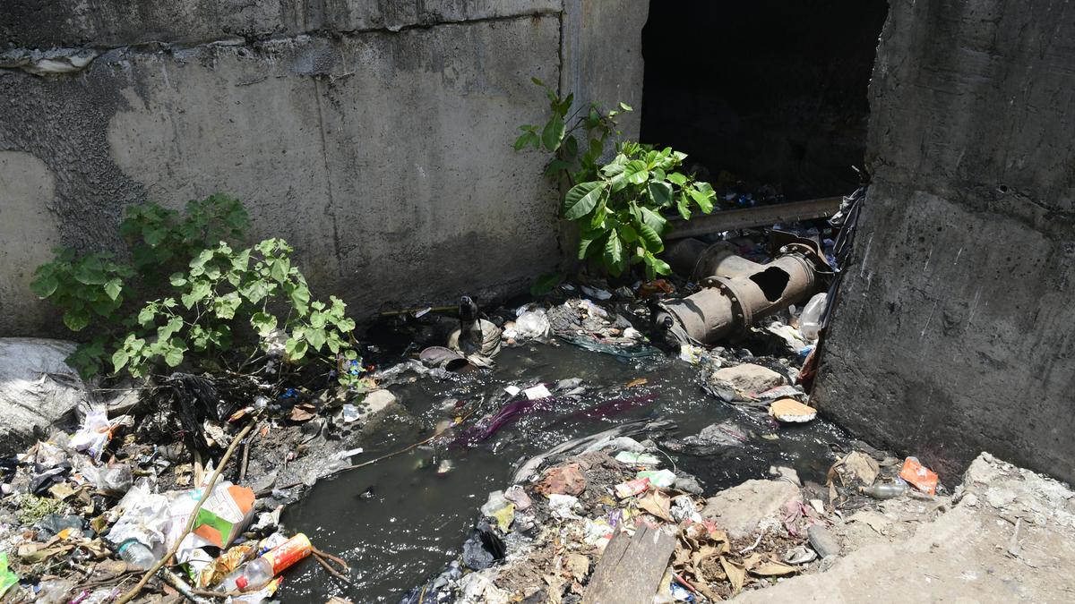 Plastic pollution, sewage outfalls cause health issues in Mayor’s ward ...