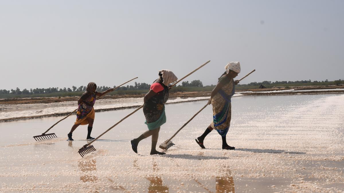 They toil under the sun just for a paltry sum - The Hindu