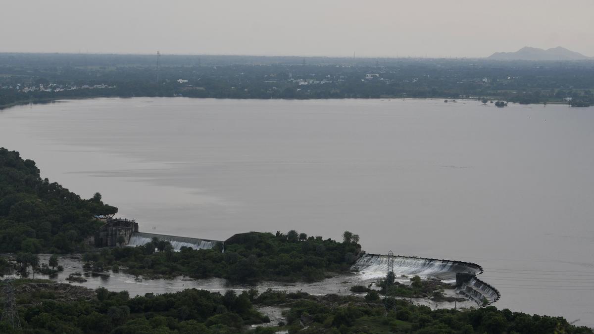 Rejuvenation efforts on at Madurantakam lake after many decades - The Hindu