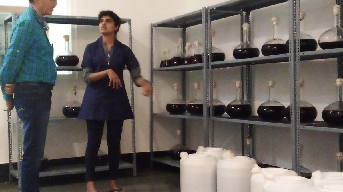 Bio-farming makes inroads in cardamom sector - The Hindu