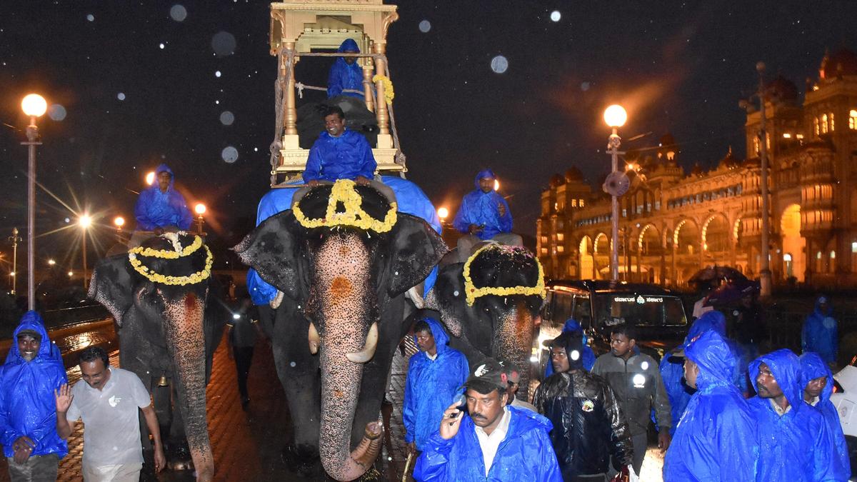 Dasara: Abhimanyu carries wooden replica of golden howdah - The Hindu