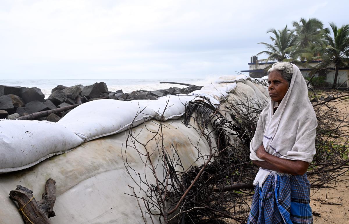 Several houses inundated in Chellanam, Edvanakkad - The Hindu
