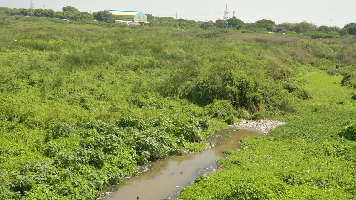 Tiruchi Corporation floats tender for redeveloping Sengulam tank into ...