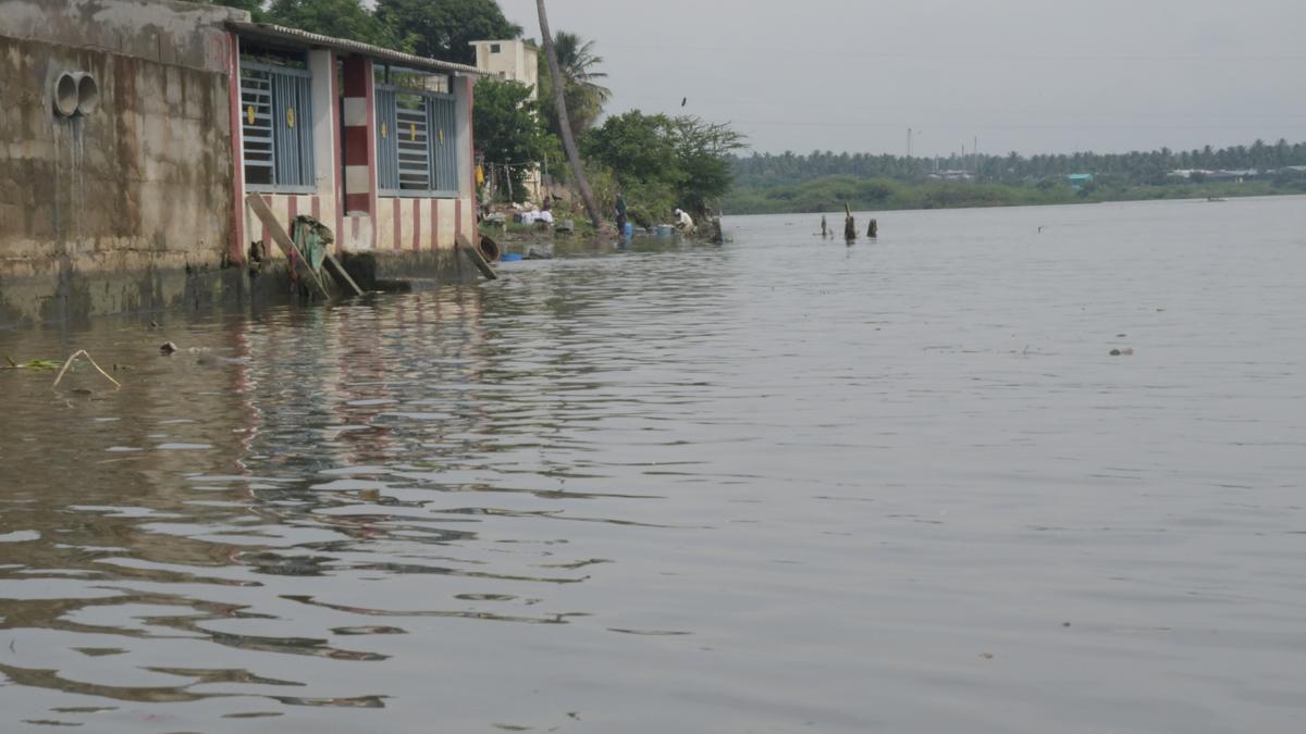 Flood alert sounded to people living near River Cauvery in Erode ...