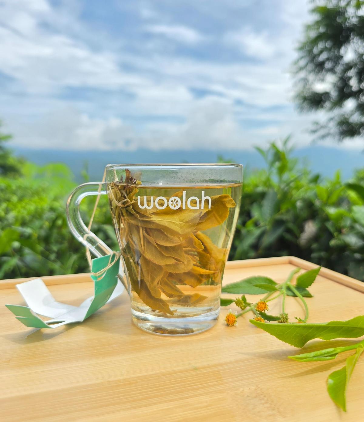 An anti black friday sale by Assam’s Woolah will grow a forest - The Hindu